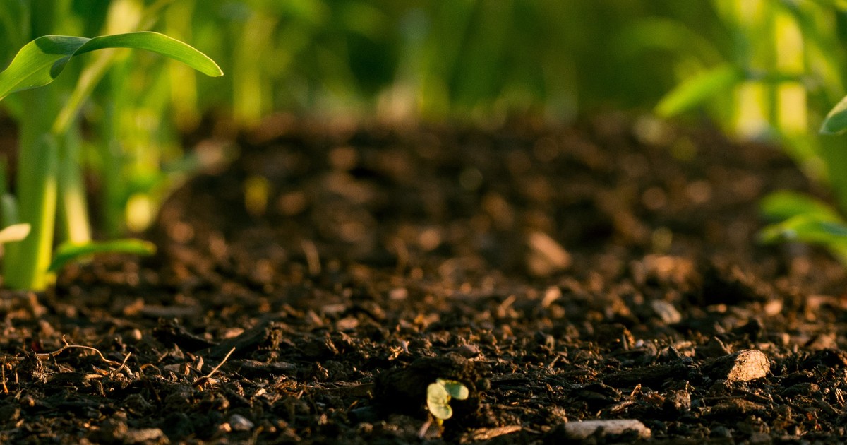 What Is Regenerative Agriculture & Climate-Friendly Farming?